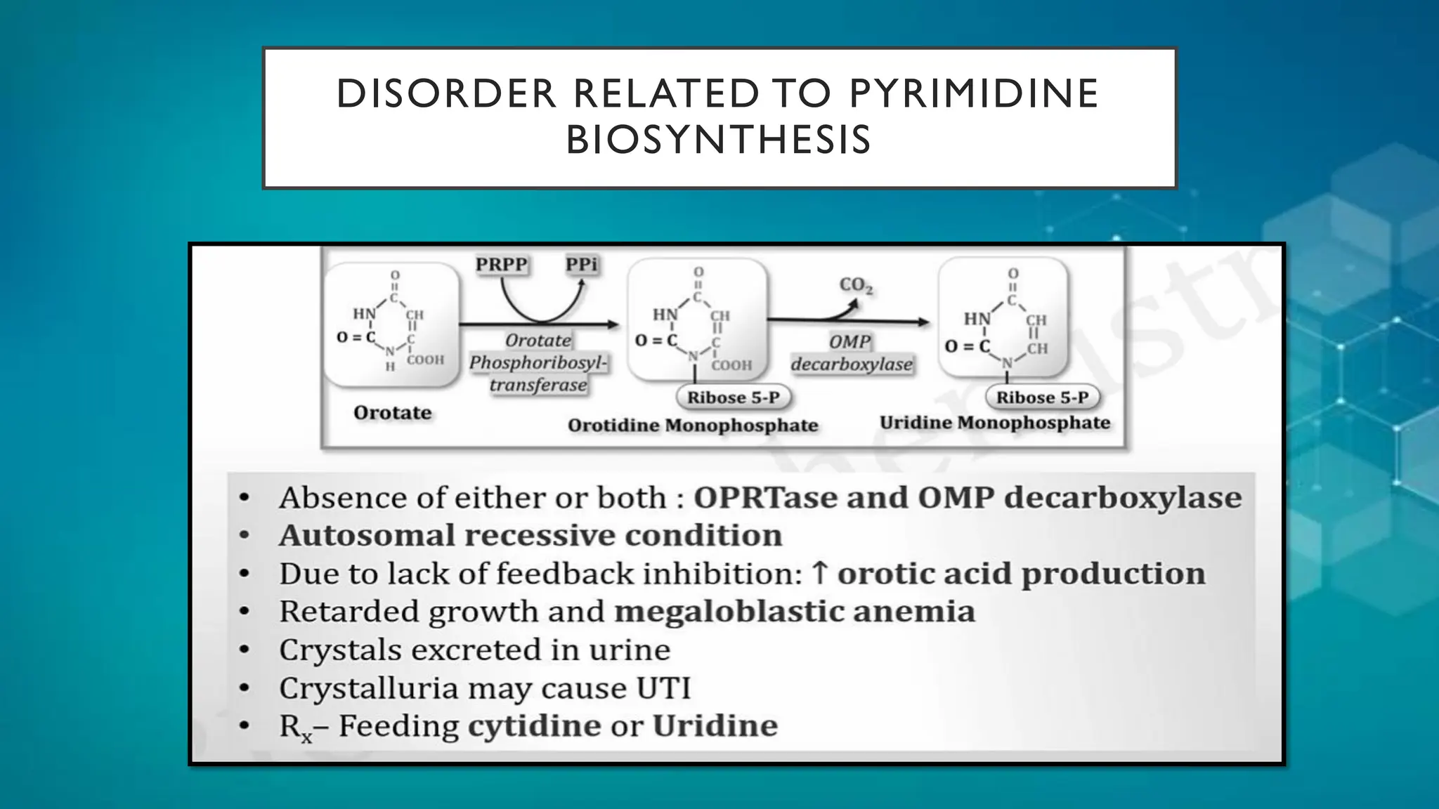 1634-biochem (2) biossynthesis of pyrimidine | PDF | Chemistry | Science