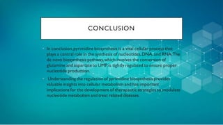 1634-biochem (2) biossynthesis of pyrimidine | PDF | Chemistry | Science