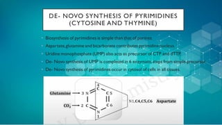 1634-biochem (2) biossynthesis of pyrimidine | PDF | Chemistry | Science