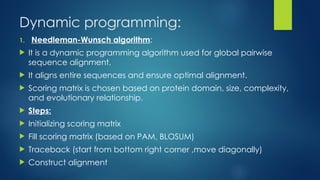 Computing optimal alignment between proteins sequence | PPT