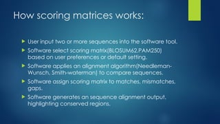 Computing optimal alignment between proteins sequence | PPT