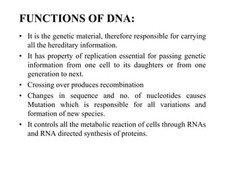 Dna Function