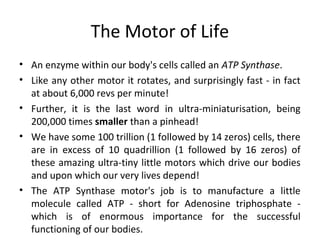 ATP motors | PPT | Chemistry | Science