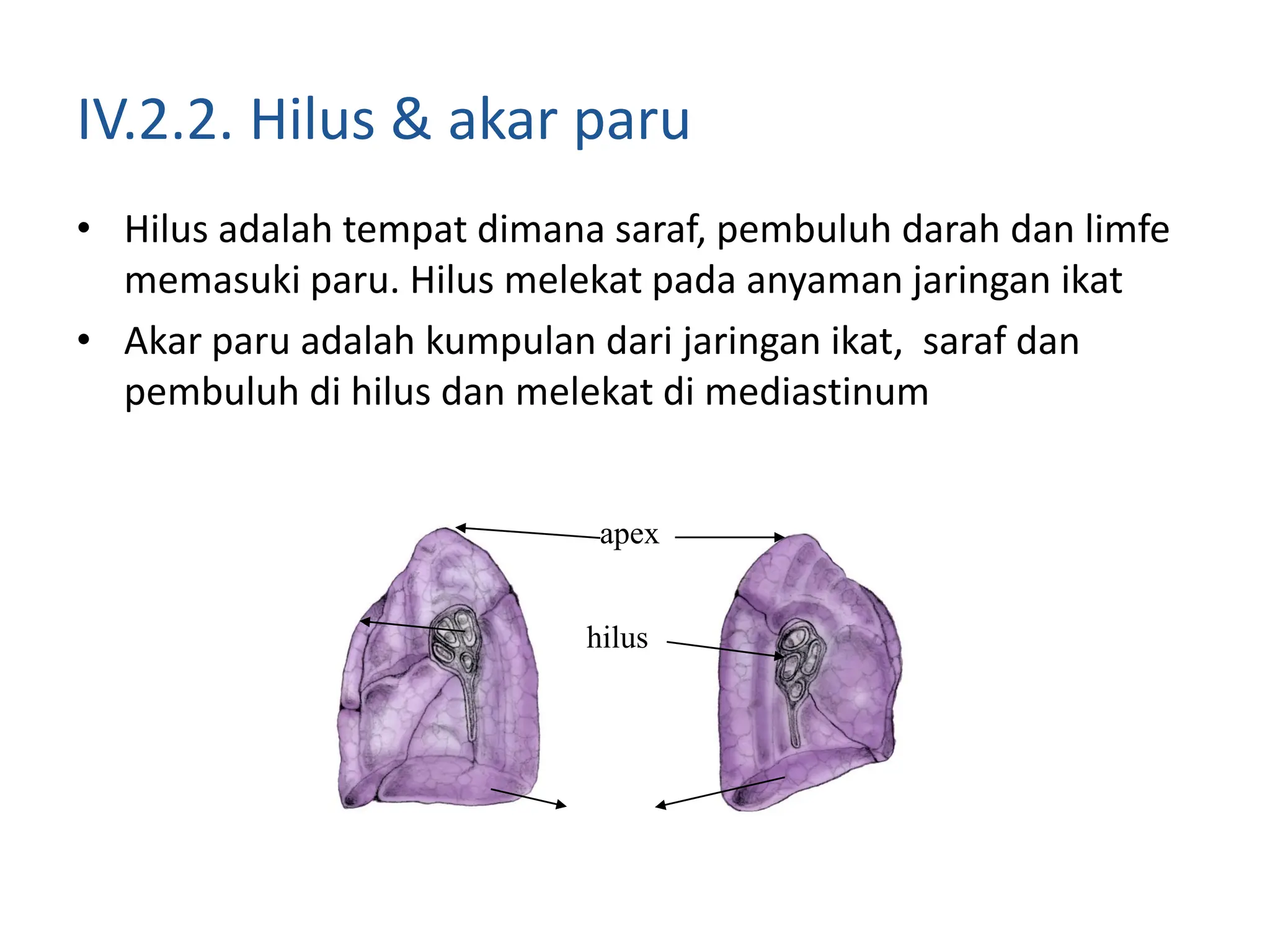 Sistem-Respirasi for medical student and paractice | PDF