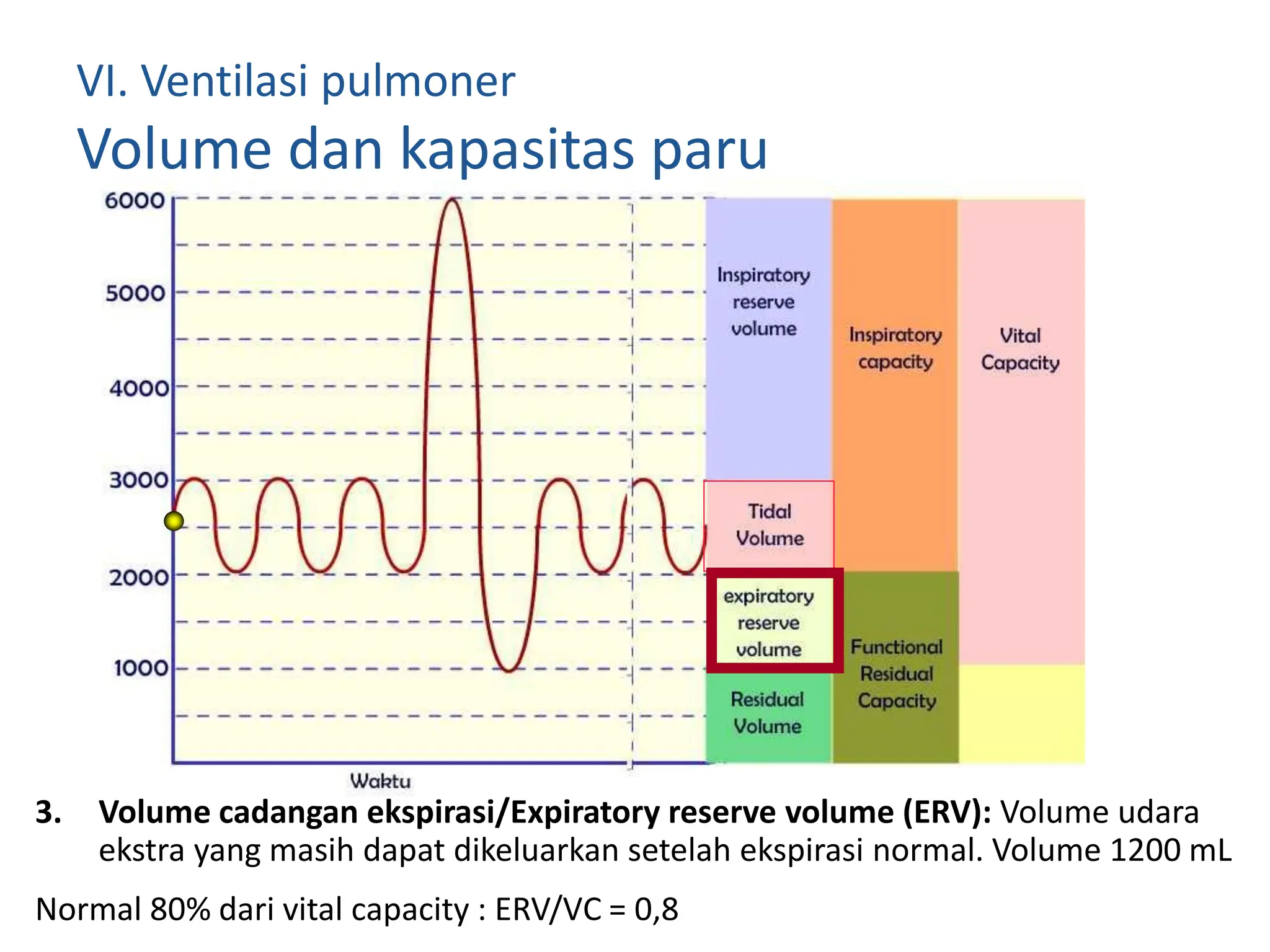 Sistem-Respirasi for medical student and paractice | PDF