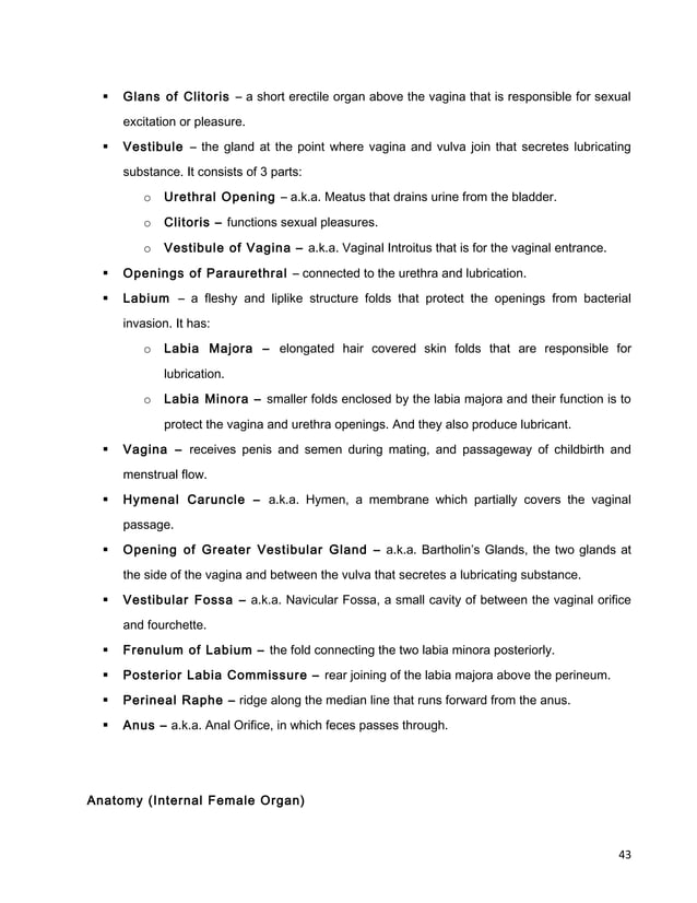 163832968 case study-cxca | PDF