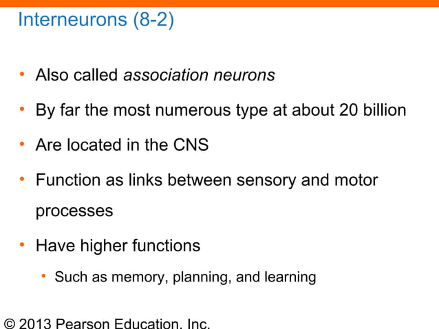 163 ch 08_lecture_presentation | PPT
