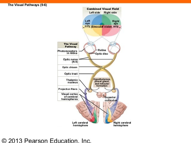 163 ch 09_lecture_presentation
