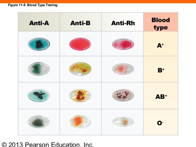 163 ch 11_lecture_presentation
