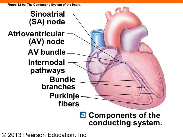 163 ch 12_lecture_presentation