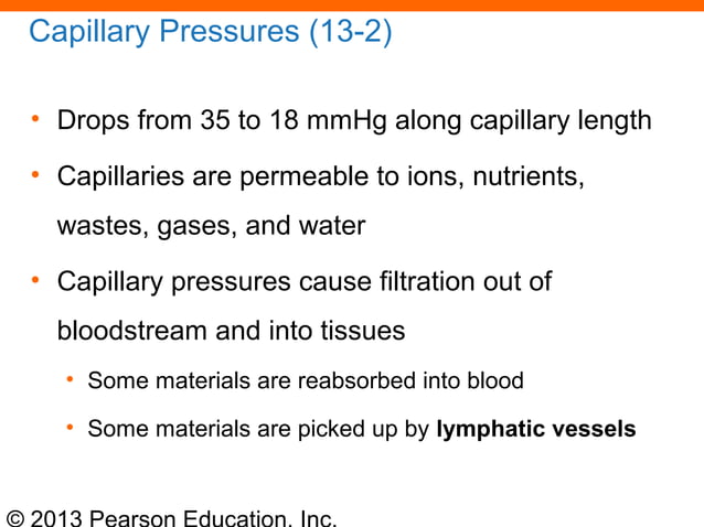 163 ch 13_lecture_presentation | PPT