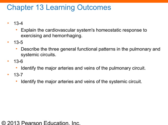 163 ch 13_lecture_presentation | PPT