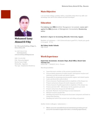 Mohamed Samy Elfeky C V | PDF