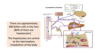 1641560626973837 | PPT