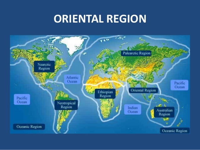 1641625 634938427814803750 (2)