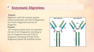 Presentation on the biostatistics topics | PPTX