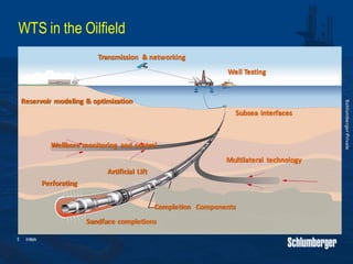 1646243170622.pdf WELL TESTING POZOS DE PETROLEO | PDF