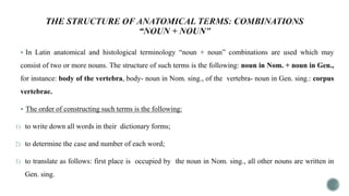 Latin | PPTX