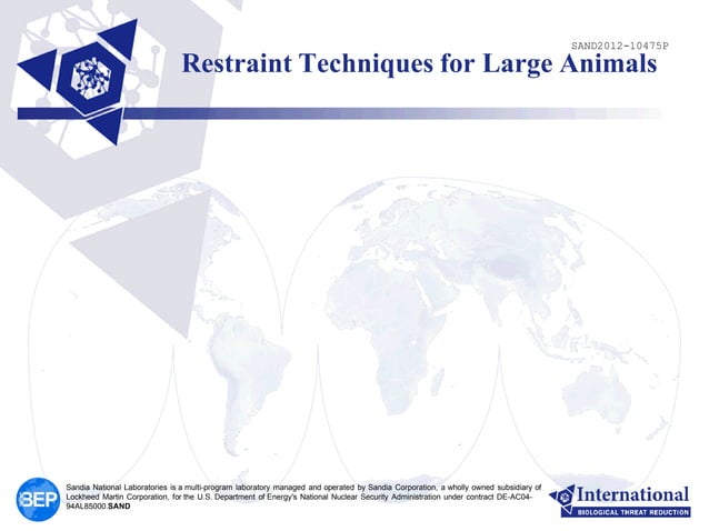 Restraint Techniques for Large animals | PDF | Veterinary Medicine | Pets