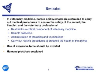 Restraint Techniques for Large animals | PDF
