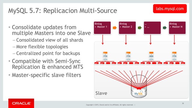 MySQL 20 años: pasado, presente y futuro; conoce las nuevas ...