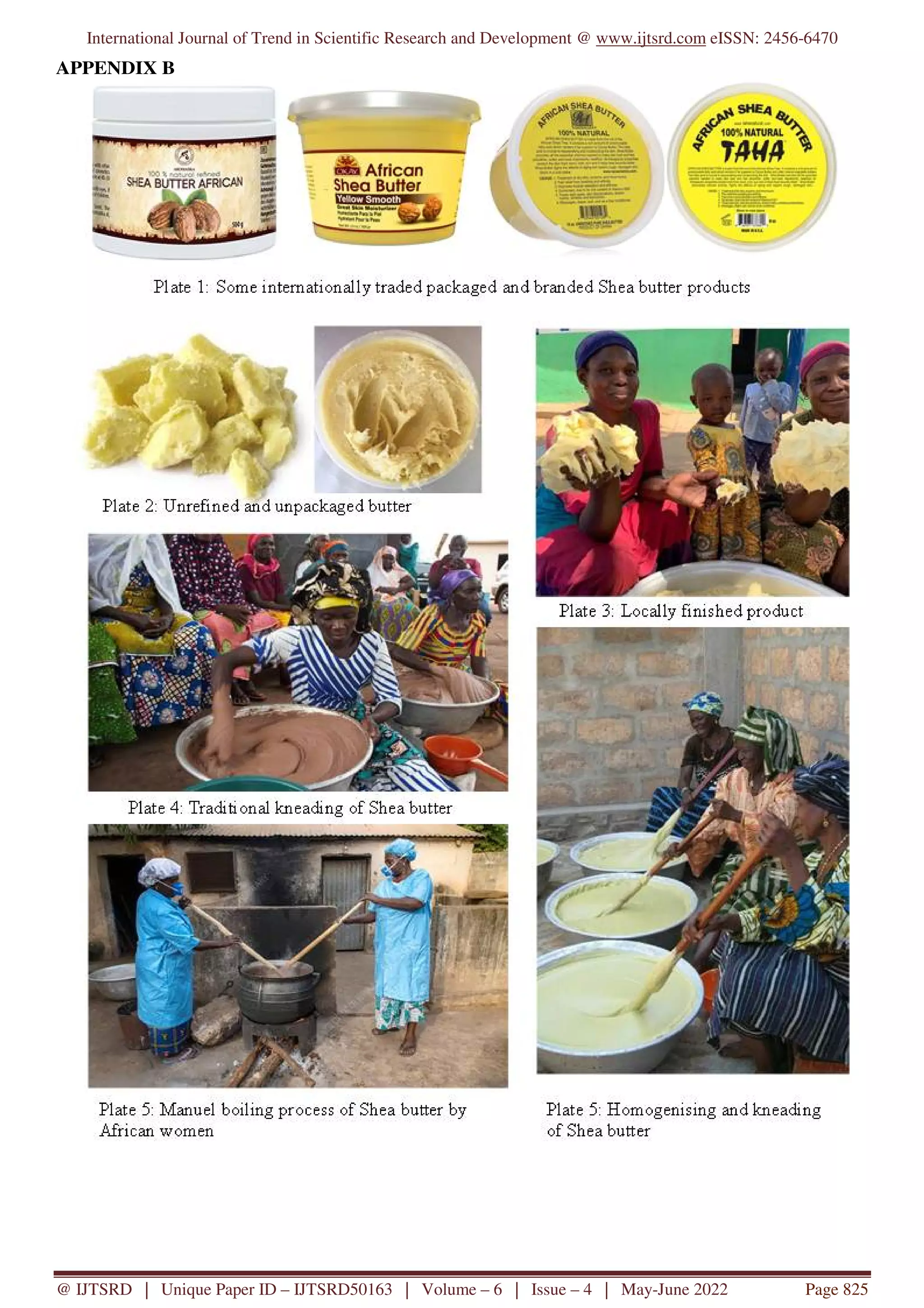 Preliminary Examination of the Processes of Production and Value Chain ...