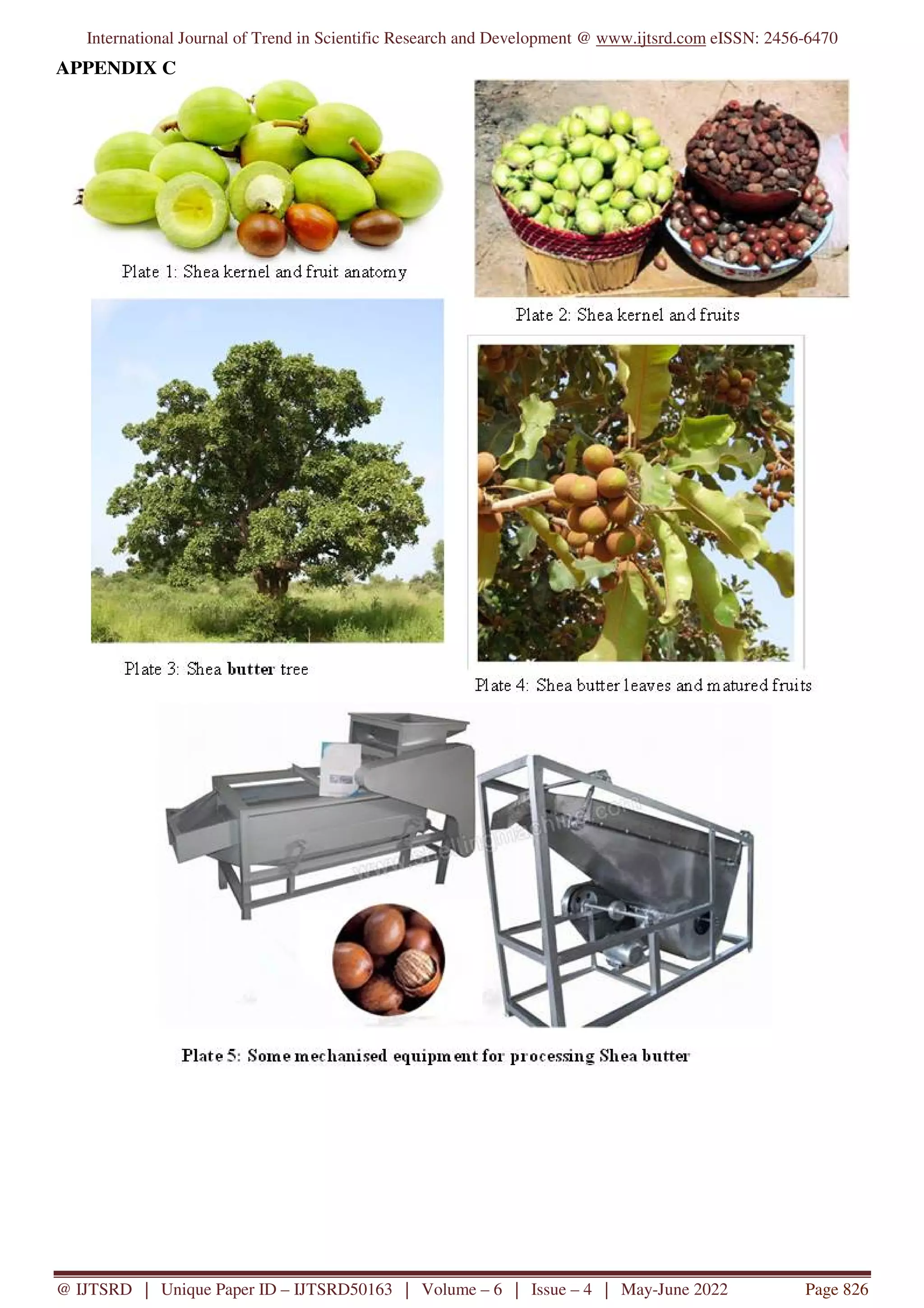 Preliminary Examination of the Processes of Production and Value Chain ...
