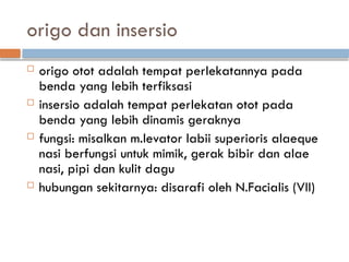 165110936-Anatomi-Dan-Fisiologi-Sistem-Muskuloskeletal.pptx