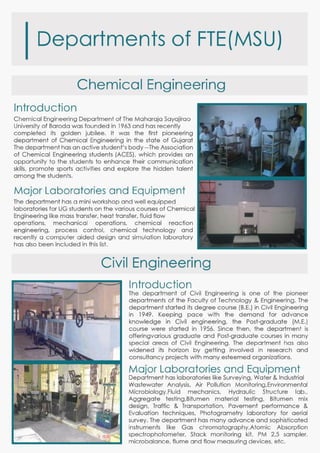 FTE,MSU Placement Brochure | PDF