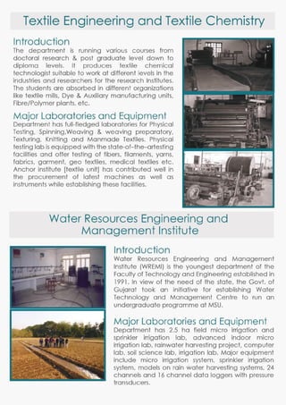 FTE,MSU Placement Brochure | PDF