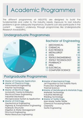 FTE,MSU Placement Brochure | PDF