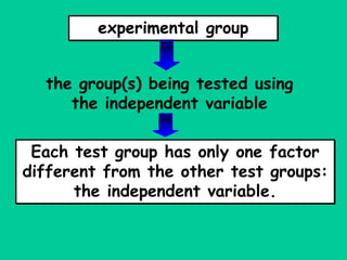 Designing Experiment | PPT