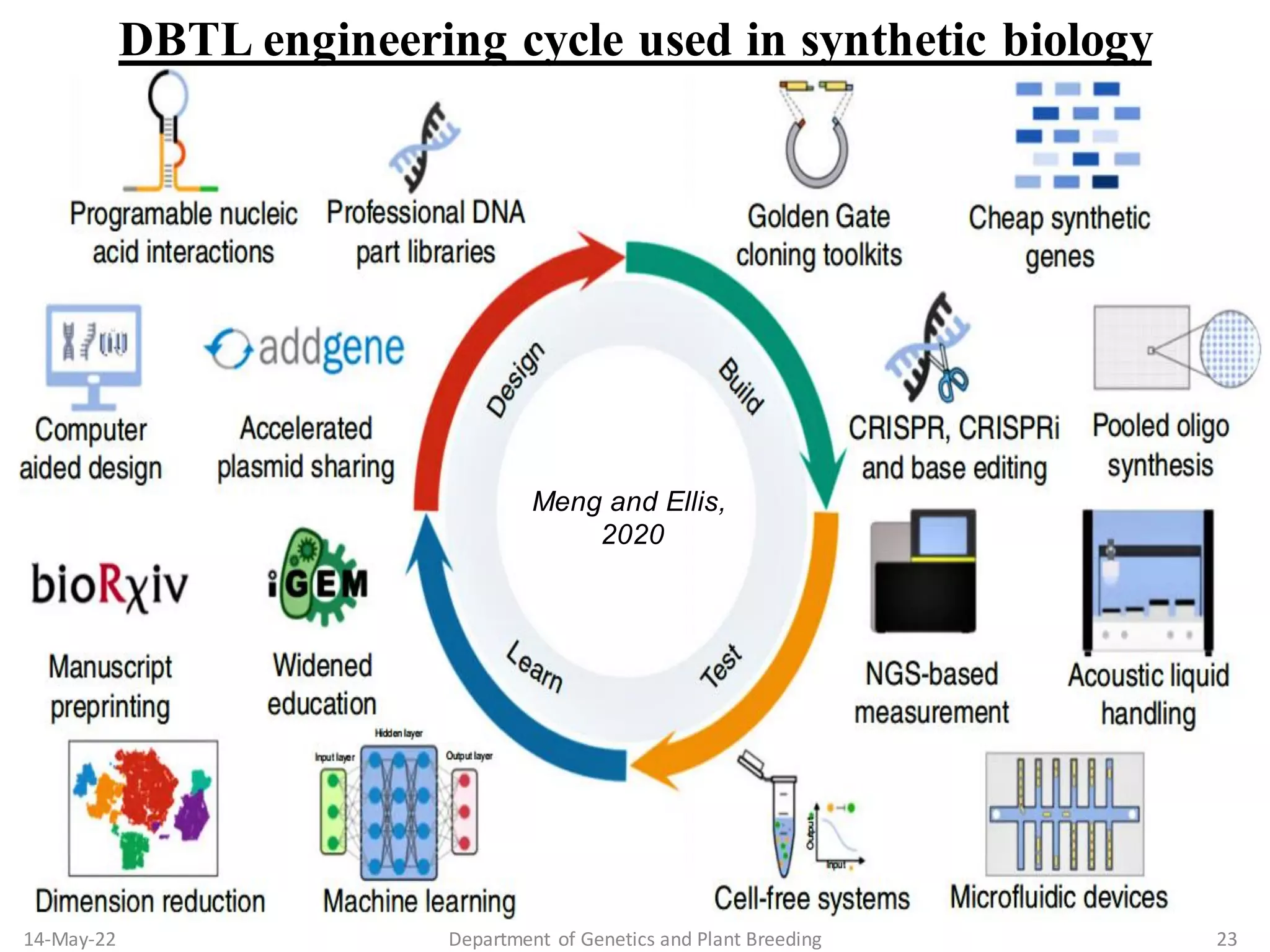 Synthetic Biology in plants | PDF