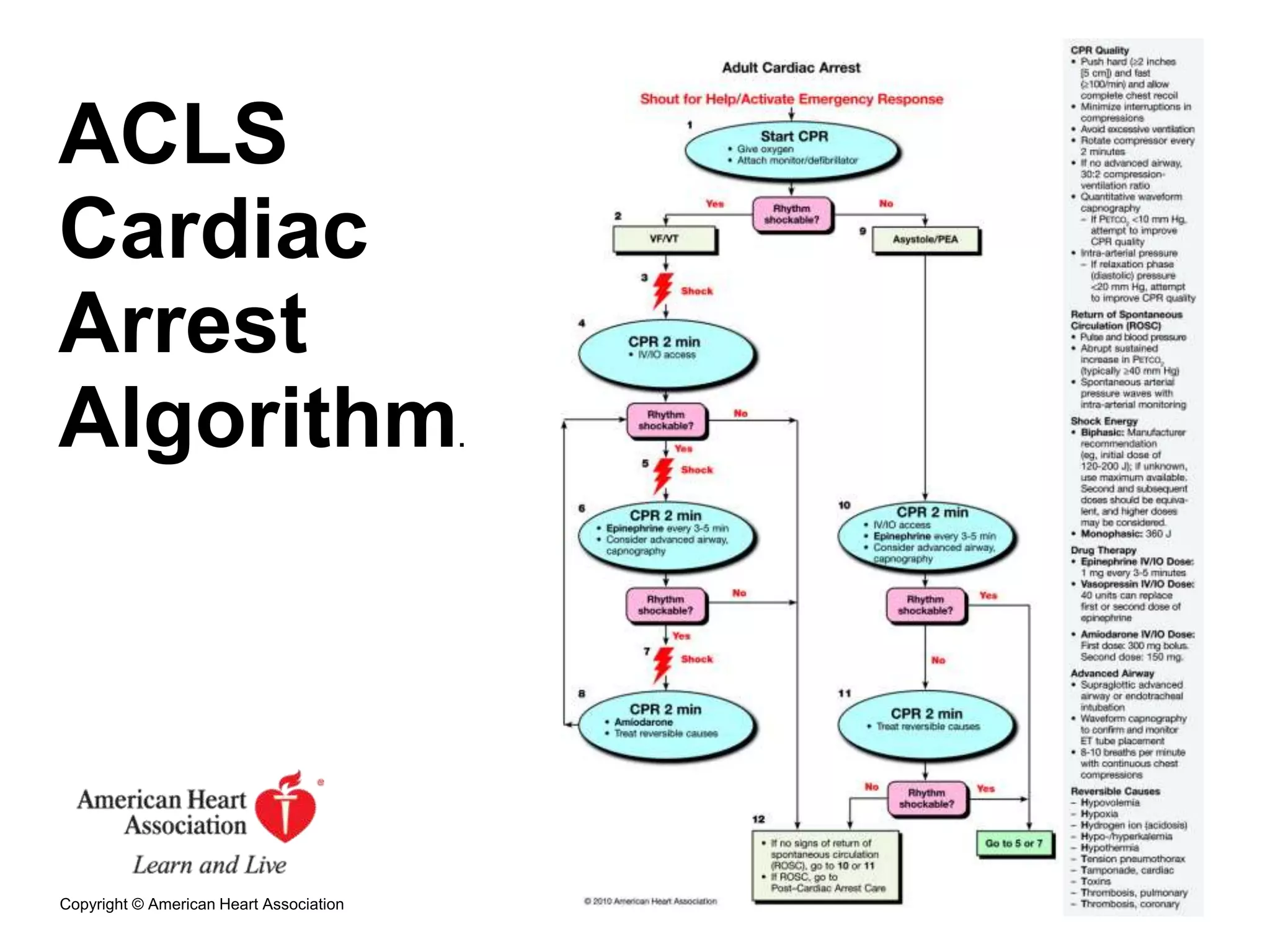 165483335-EN-RN-CODE-BLUE-pptx.pptx | First Aid | Injuries