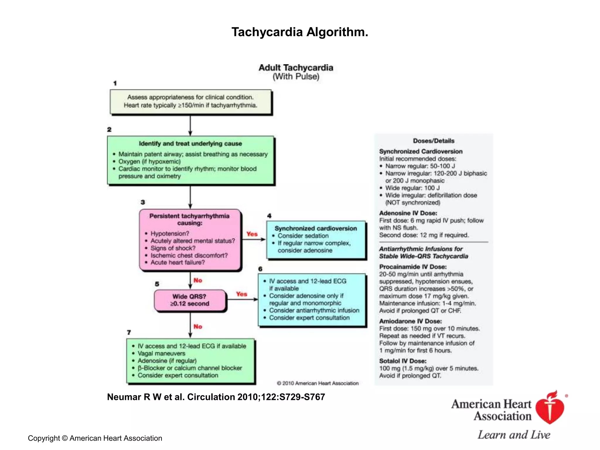 165483335-EN-RN-CODE-BLUE-pptx.pptx