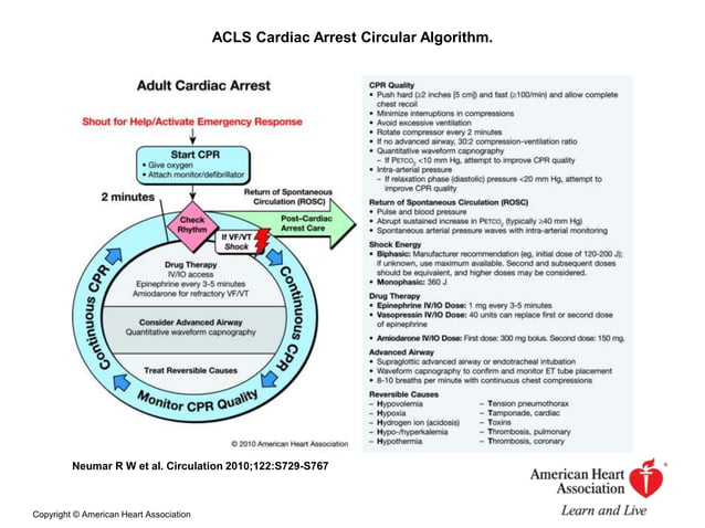 165483335-EN-RN-CODE-BLUE-pptx.pptx