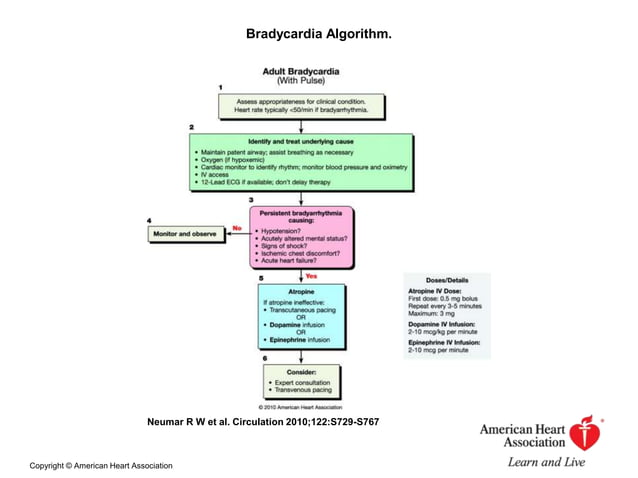 165483335-EN-RN-CODE-BLUE-pptx.pptx