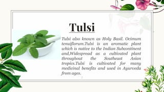 (medical plant) | PPT