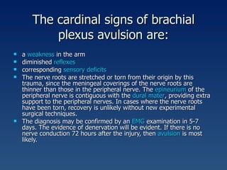 Muscles of Upper Extremities | PPT