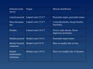 Muscles of Upper Extremities | PPT