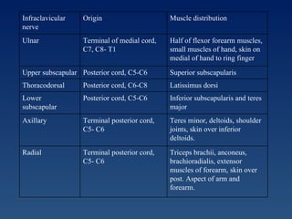 Muscles of Upper Extremities | PPT
