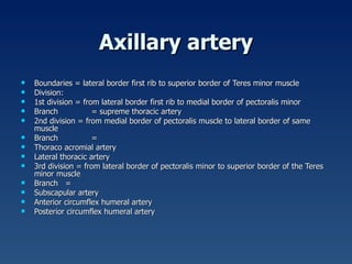 Muscles of Upper Extremities | PPT