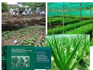 Pharmaco Module VII.pptx