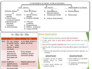 Pharmaco Module VII.pptx