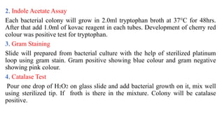 Evaluation of diazotrophs | PDF