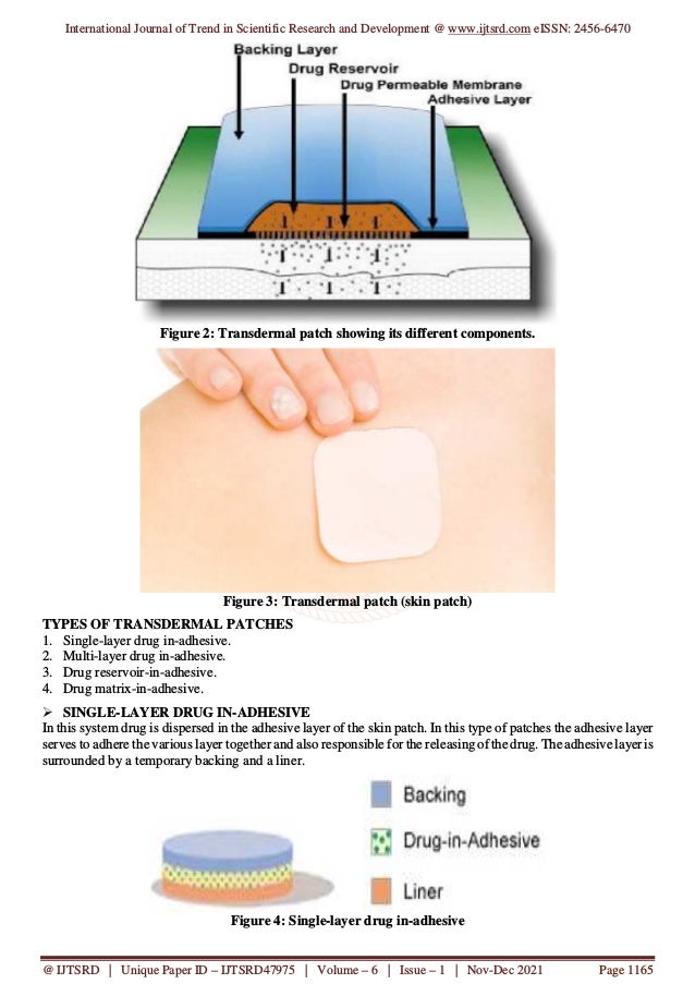 A Basic Overview on Transdermal Drug Delivery System | PDF