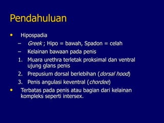 16606301 hipospadia | PPT
