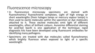 Microscope.pptx