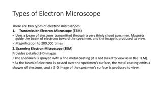 Microscope.pptx