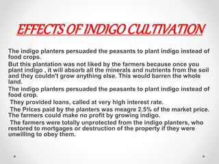 1668526681006_indigo project file eng class 12.pptx